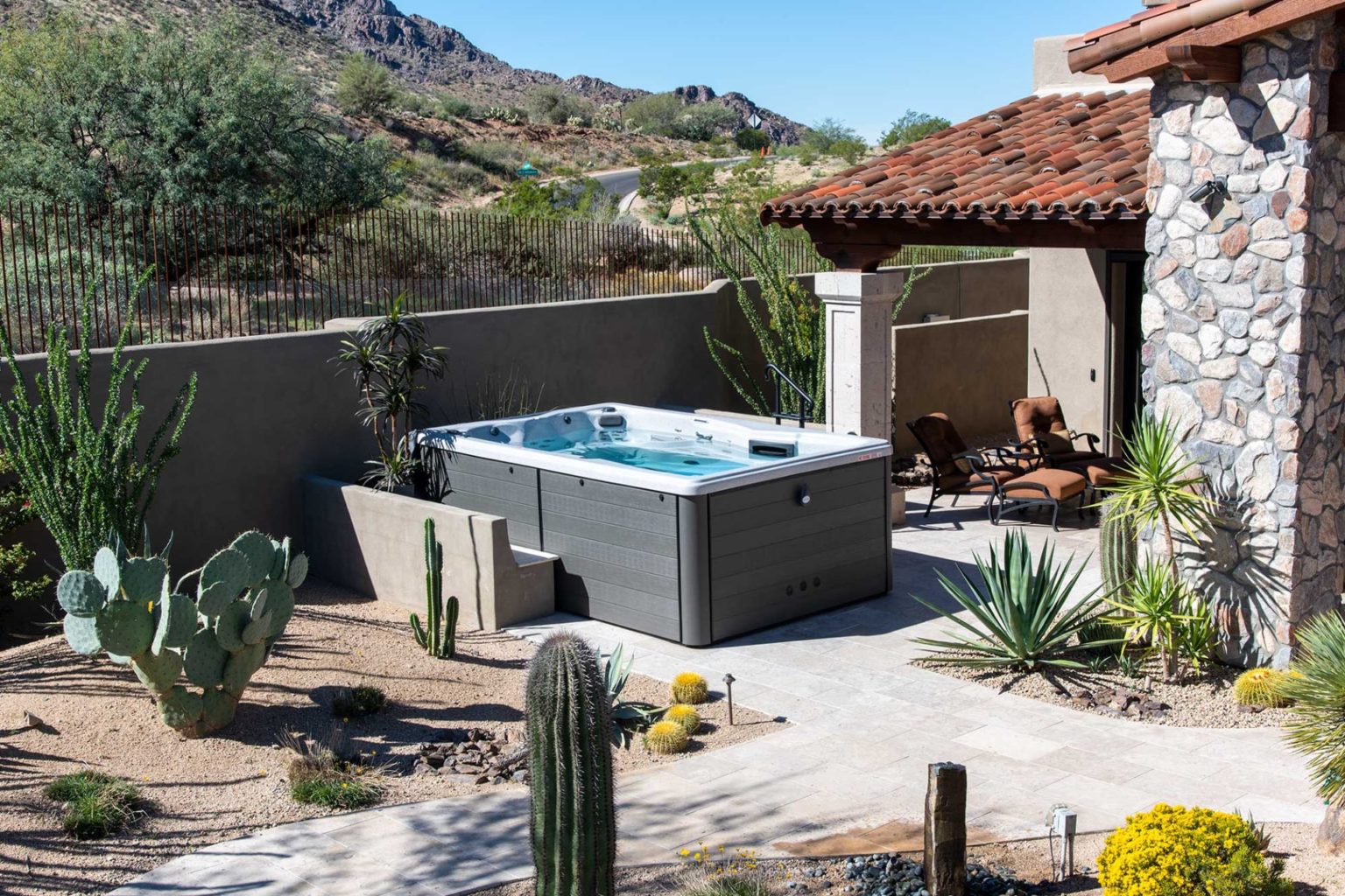Phoenix Swim Spas + Hot Tubs // Swim Spa International